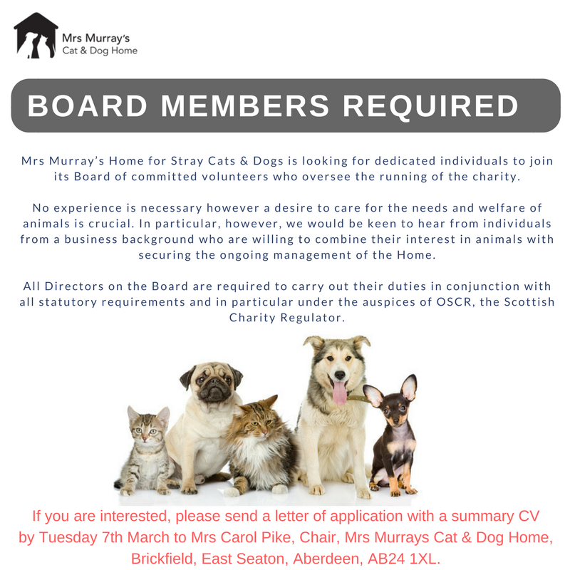 Mrs Murray's Cat & Dog Home | Mrs Murrays Cat & Dog Home