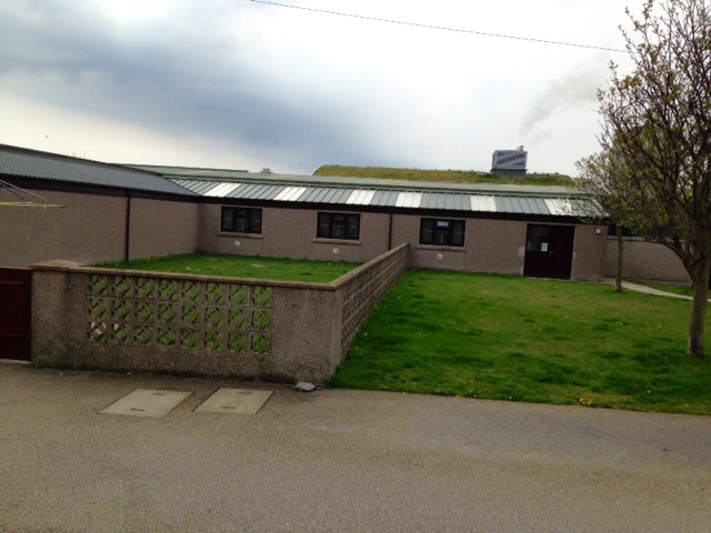 Mrs Murray's Cat & Dog Home | Mrs Murrays Cat & Dog Home